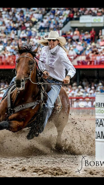 No Hit Bit Short Shank – Chasing Time Tack & Apparel